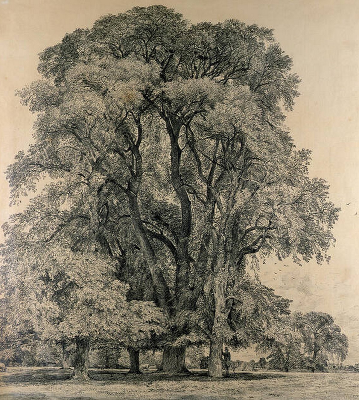 Requiem for the American Dream